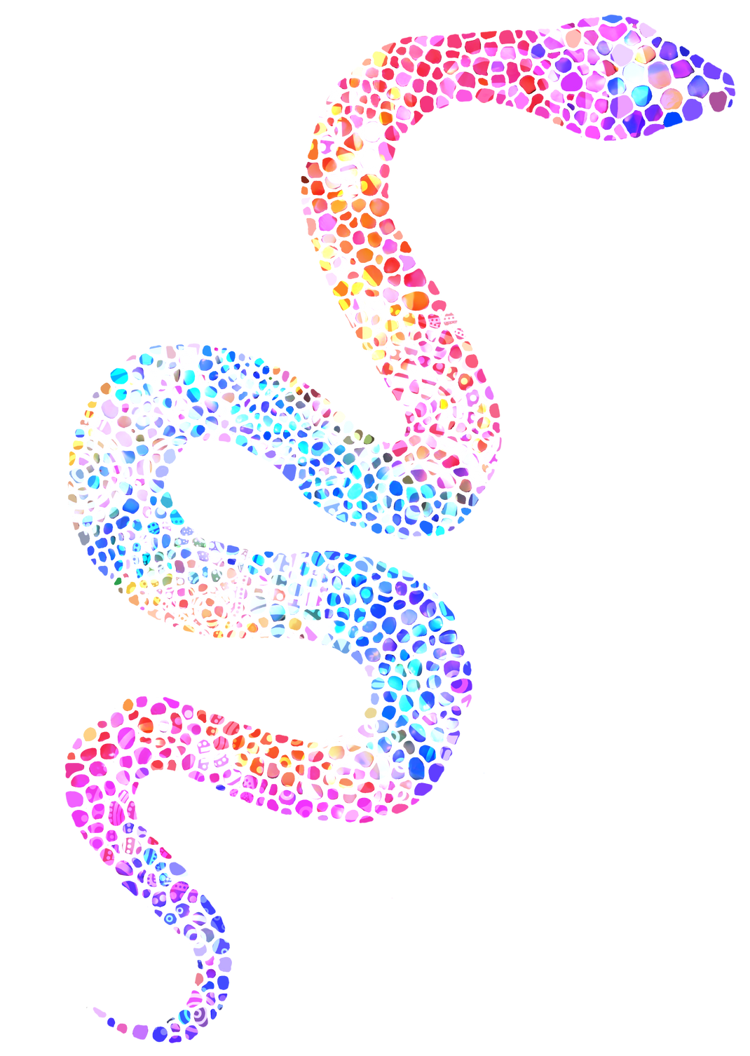 Wagyl - Noongar – Dialocal